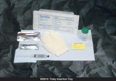 Bard Bardia Catheter Insertion Tray Kit, 10 cc Inflation Syringe, Foley ...